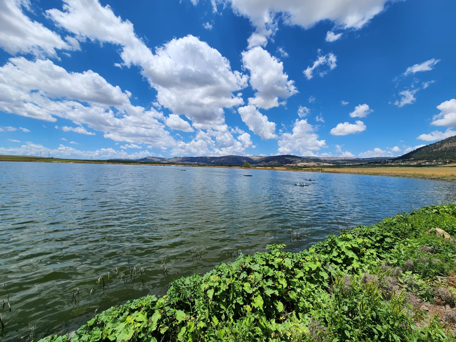 Ozone Nano-Bubble Treatment in Lagoons and Reservoirs | Palgey Maim