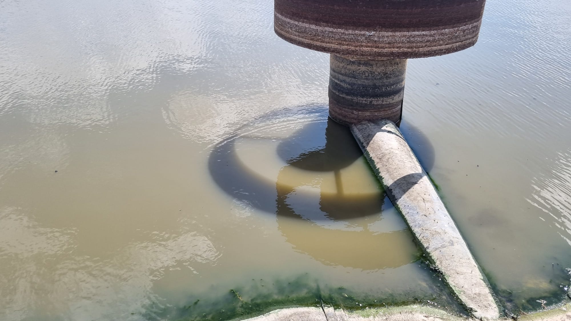Effluent treatment in Dovrat G reservoir, Using Nano bubble ozone ...